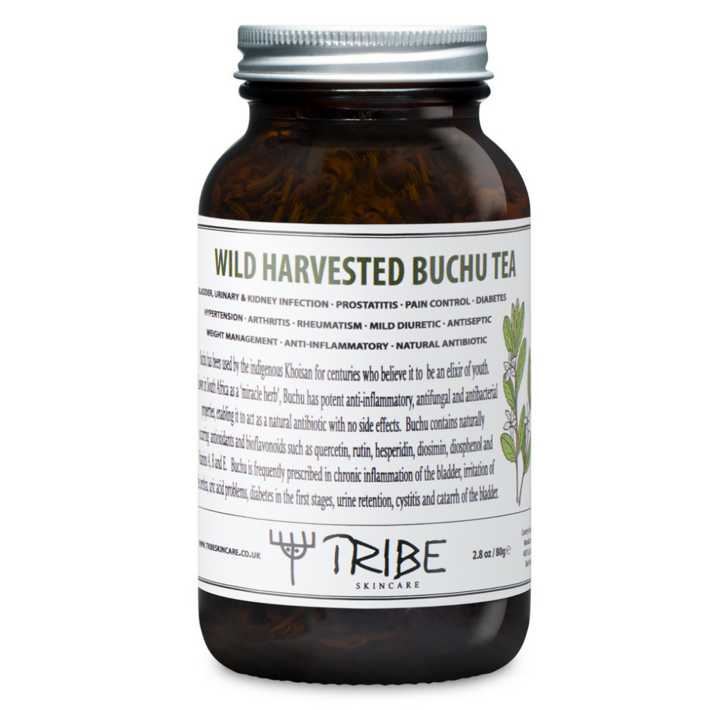 Wild Harvested Buchu Tea - Tribe Skincare